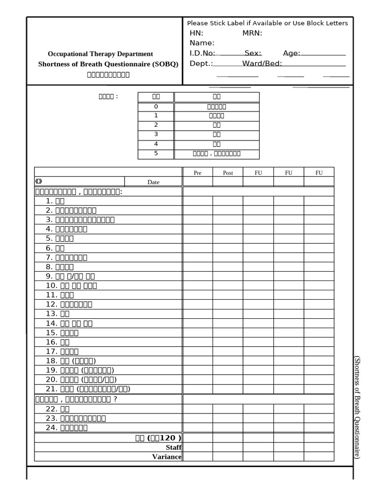 Sobq Ax Form | PDF