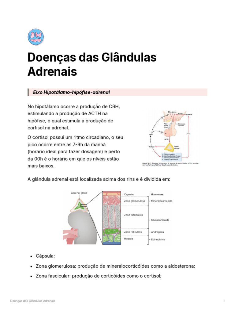 Doenças Das Glândulas Adrenais - Endocrinologia | PDF | Glândula ...