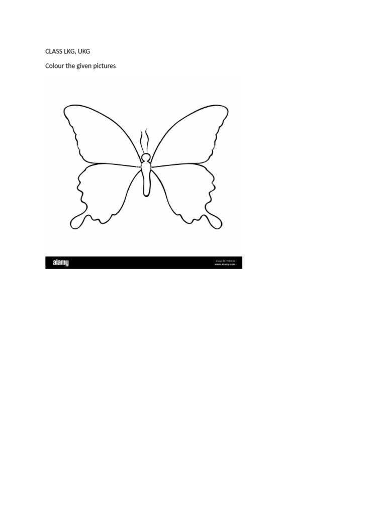 CLASS LKG Ukg Drawing | PDF