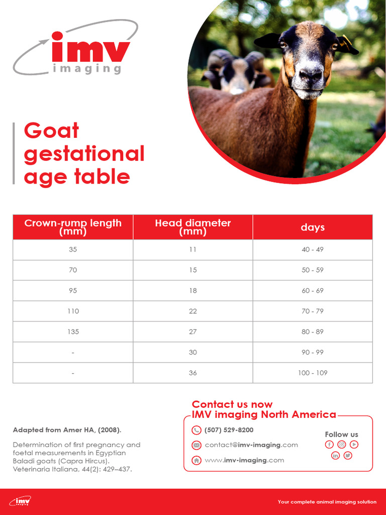 Goat Gestational Age Measurement Table | PDF