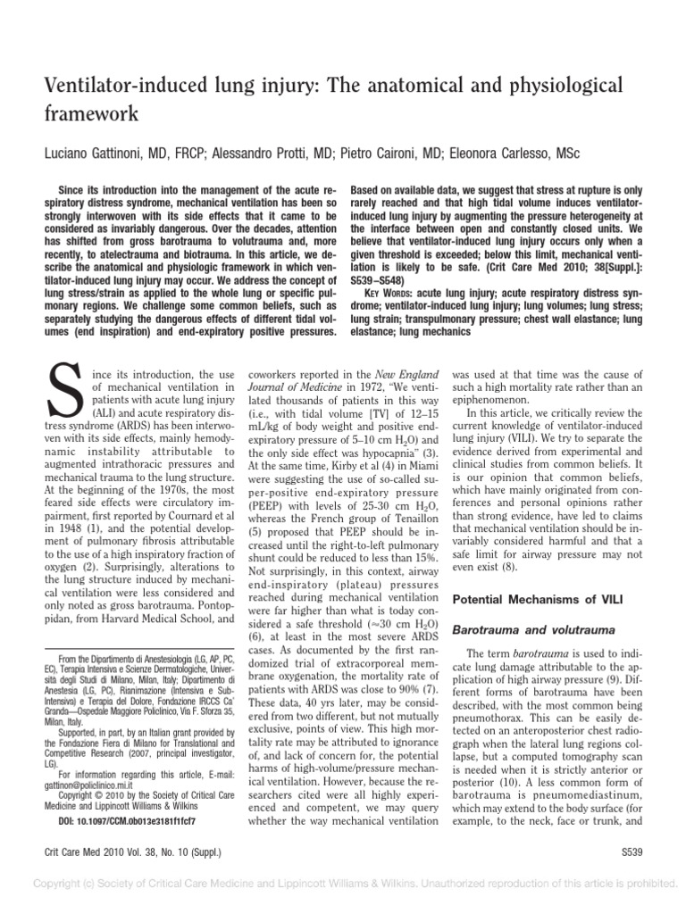 VILI An Anatomical and Pathophysiologic Model | PDF | Lung ...