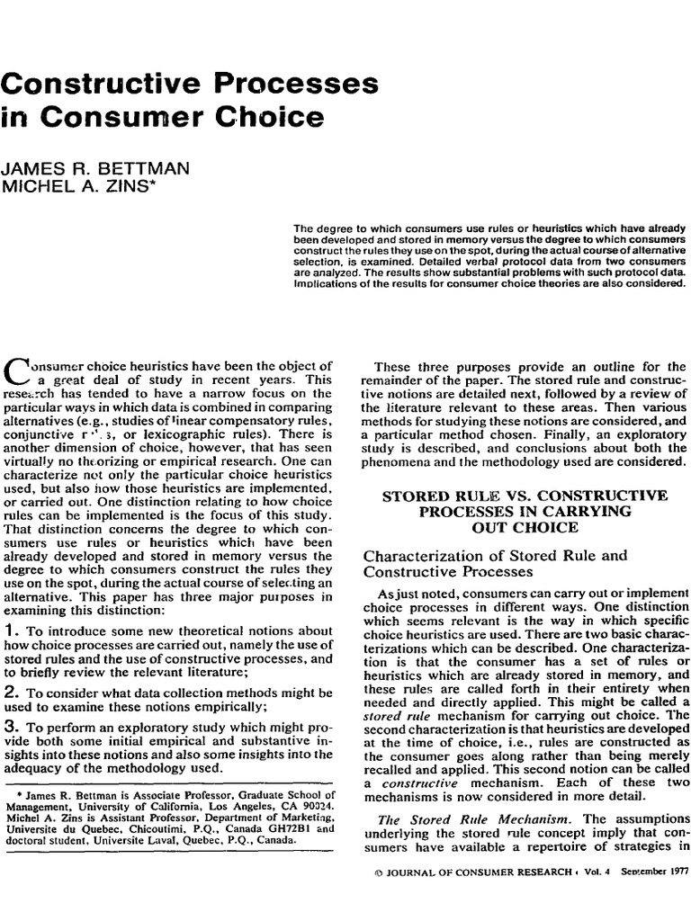 Consumer Choice Processes Explained | PDF