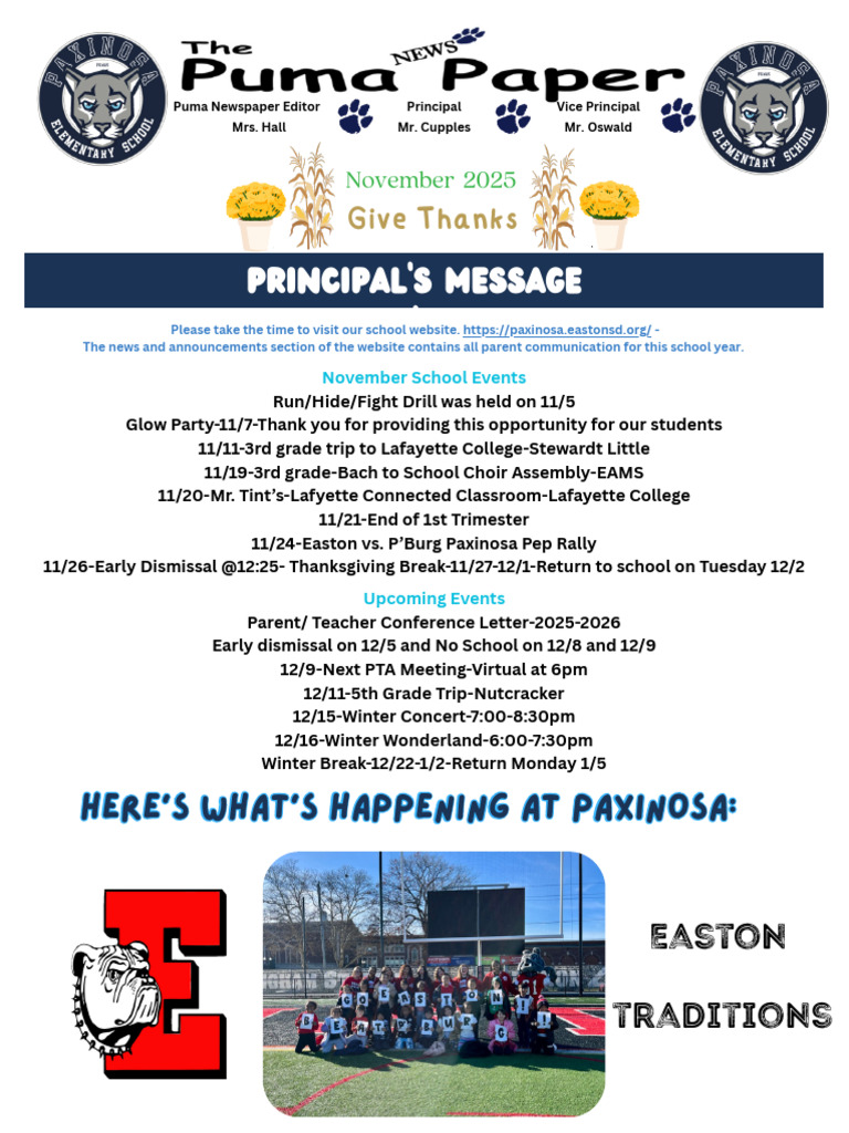 November 25 26 Puma Paper | PDF