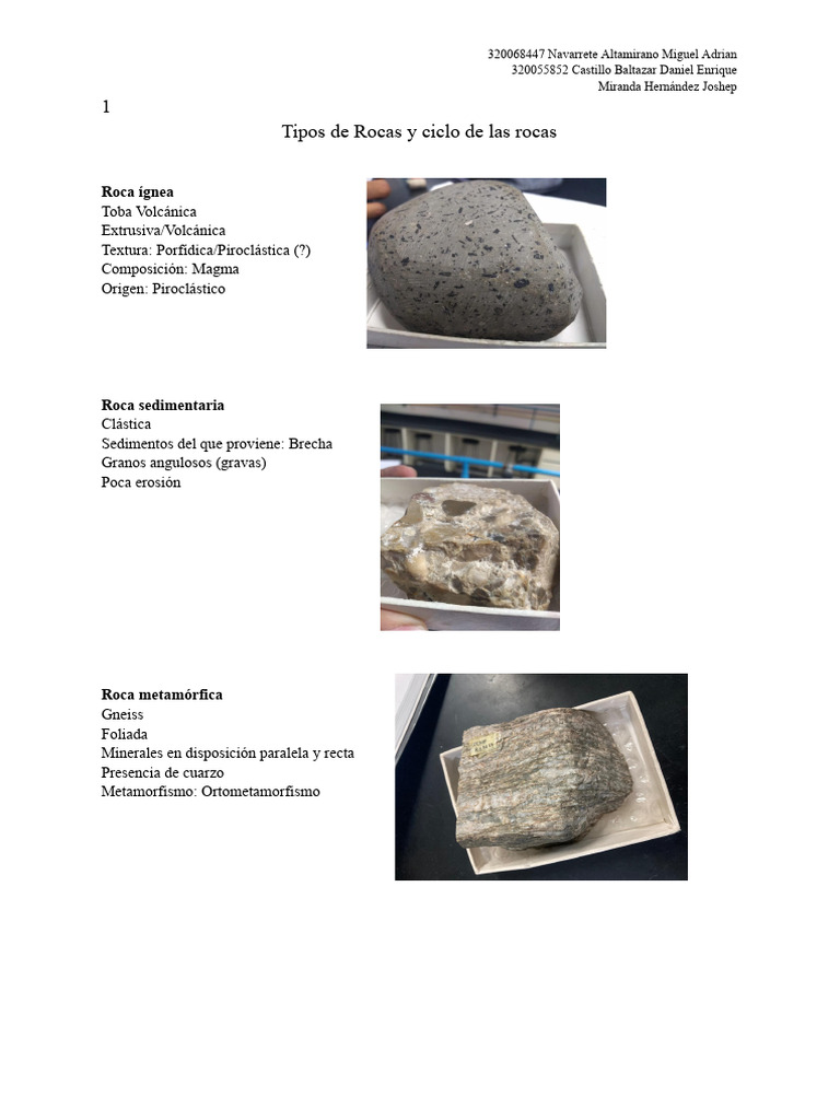 Tipos de Rocas y Ciclo de Las Rocas | PDF | Roca (geología) | Roca ígnea