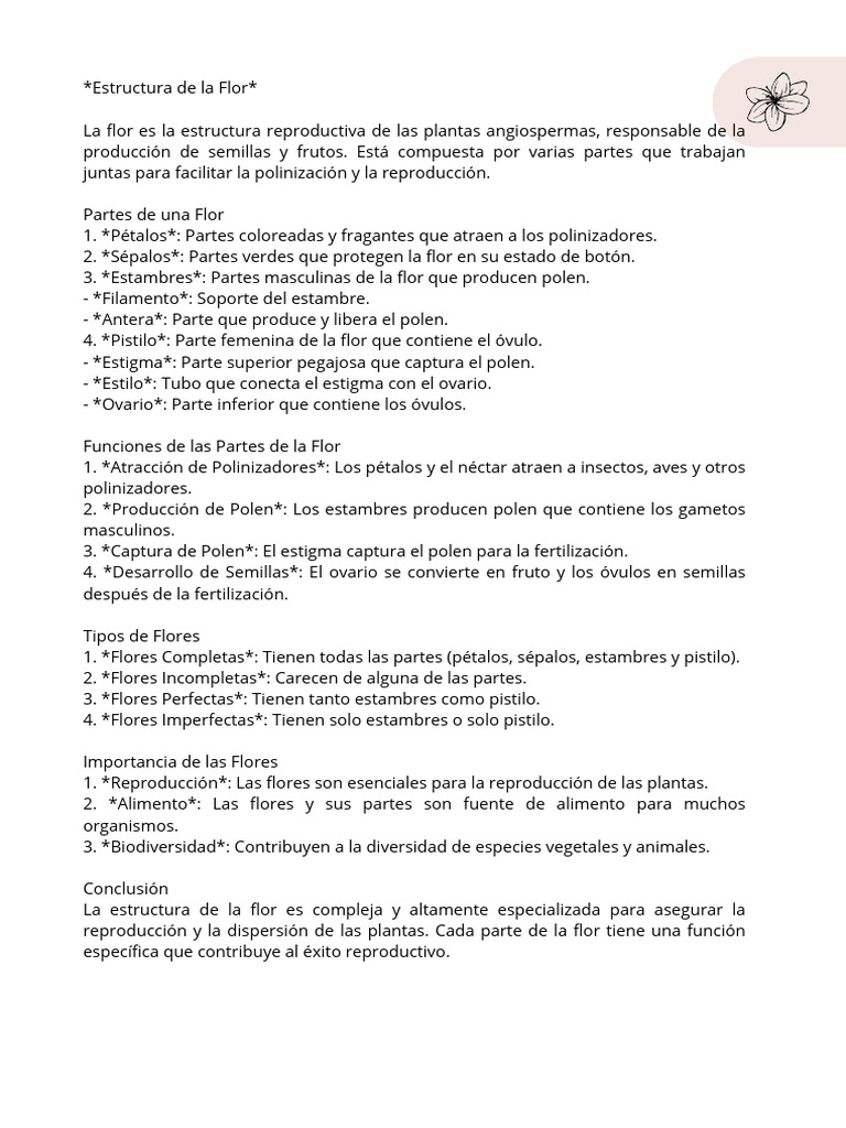Documento A4 Hoja de Papel con Flor Delicado Rosado_20251028_070038 ...