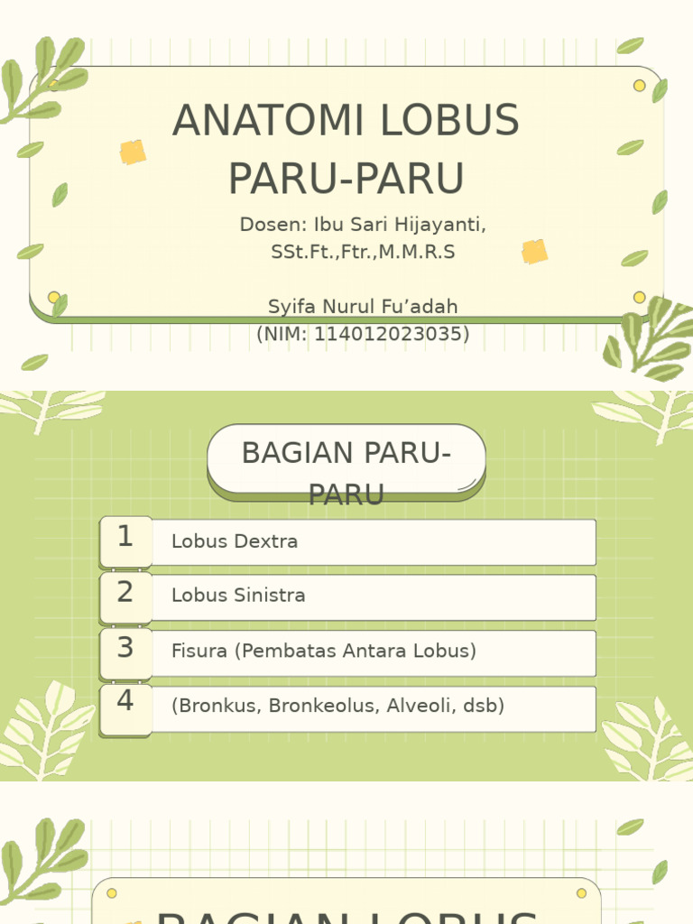 Anatomi Lobus Paru-Paru (Syifa Nurul Fu'Adah-114012023035) | PDF