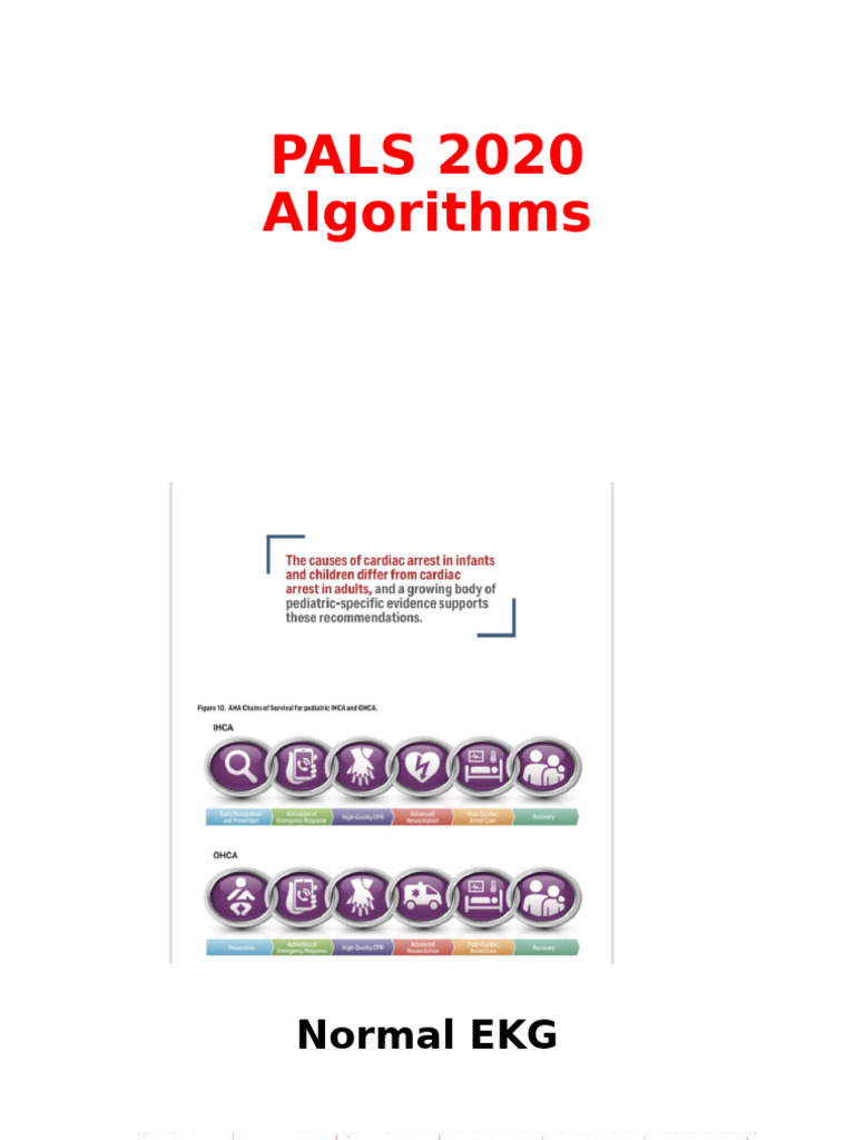 PALS 2020 Algorithms | PDF