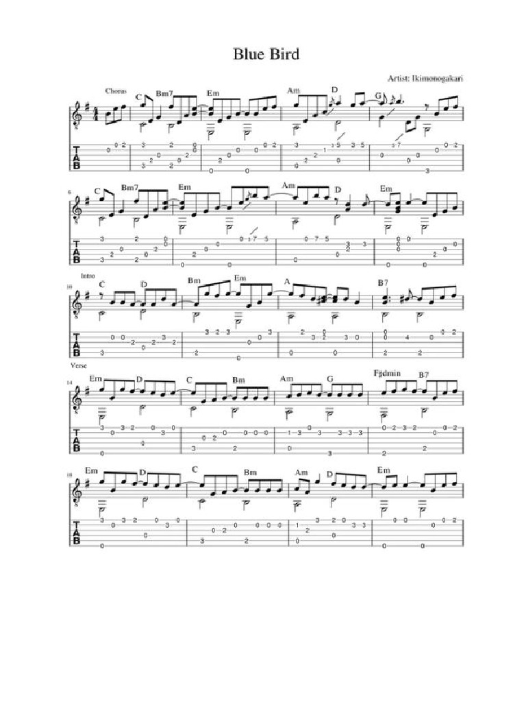 Blue Bird Tab | PDF