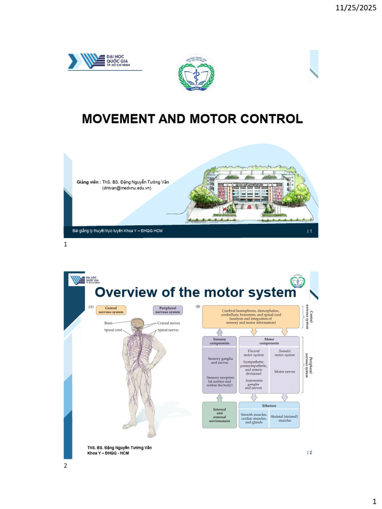 Movement and Motor Control | PDF