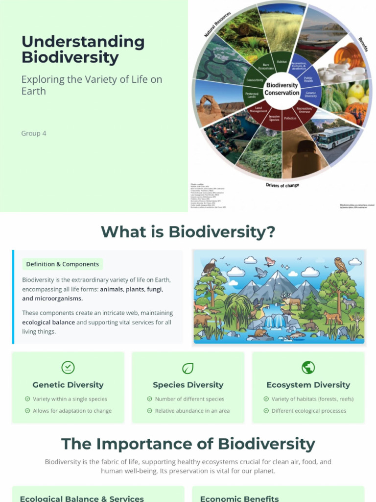 Make A PowerPoint Presentation About Biodiversity | PDF