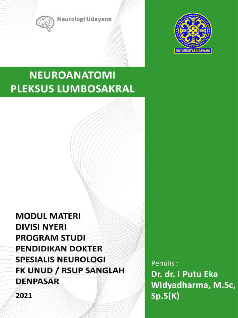 Neuroanatomi Pleksus Lumbosakral Udayana | PDF