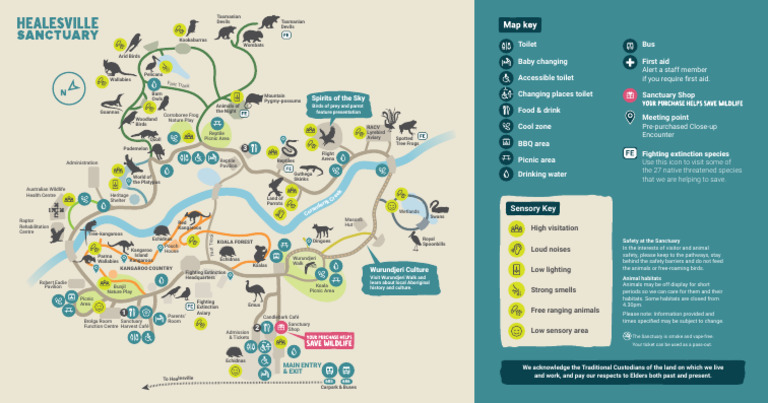 40174 Zv Sensory Map Update Hs v3 | PDF | Koala | Zoology