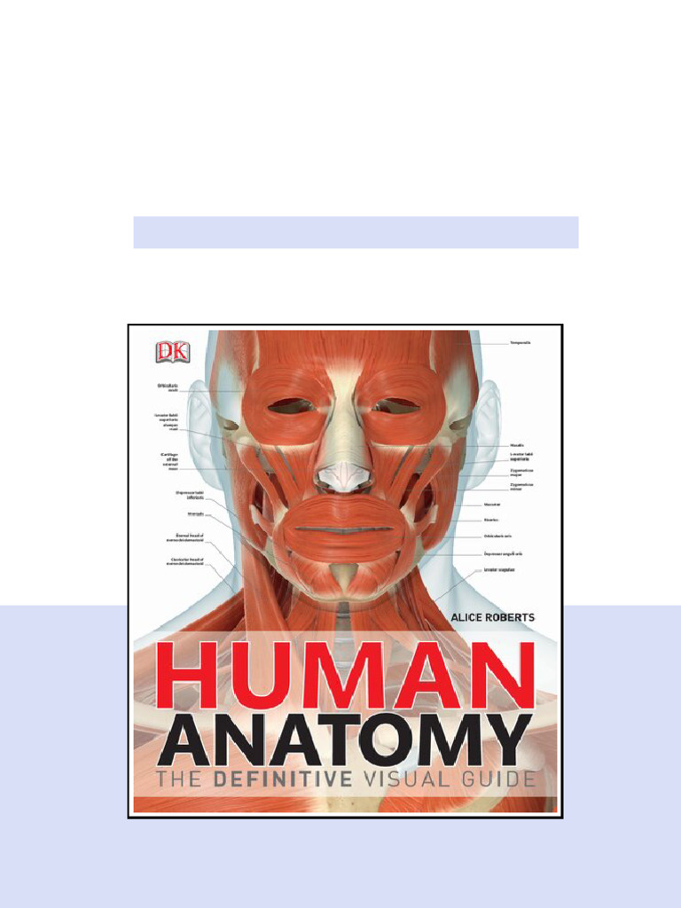Human Anatomy Dk Dr Alice Roberts online version | PDF | Pelvis | Vertebra