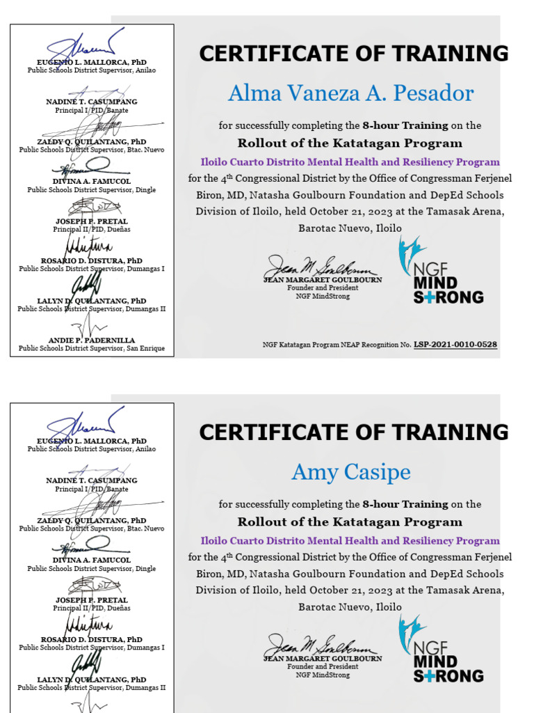 Katatagan Program Training Certificate | PDF
