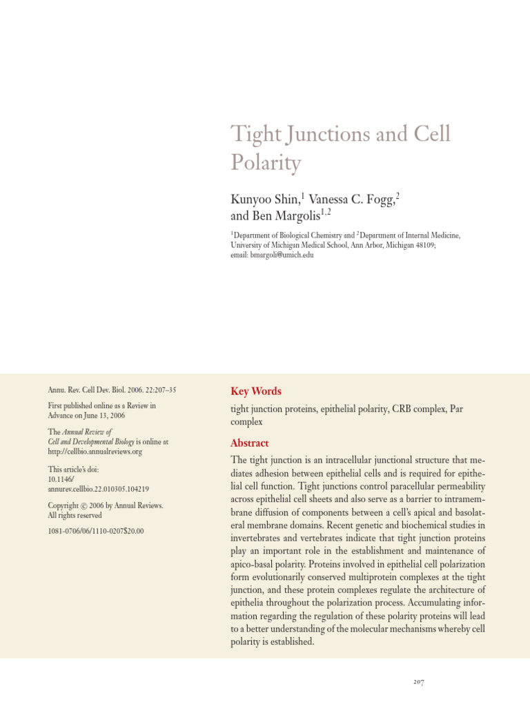tight junction | PDF | Cell Membrane | Cell Adhesion