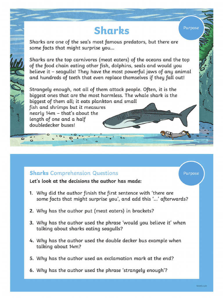 Reading Comprehension Skills Challenge Cards | PDF