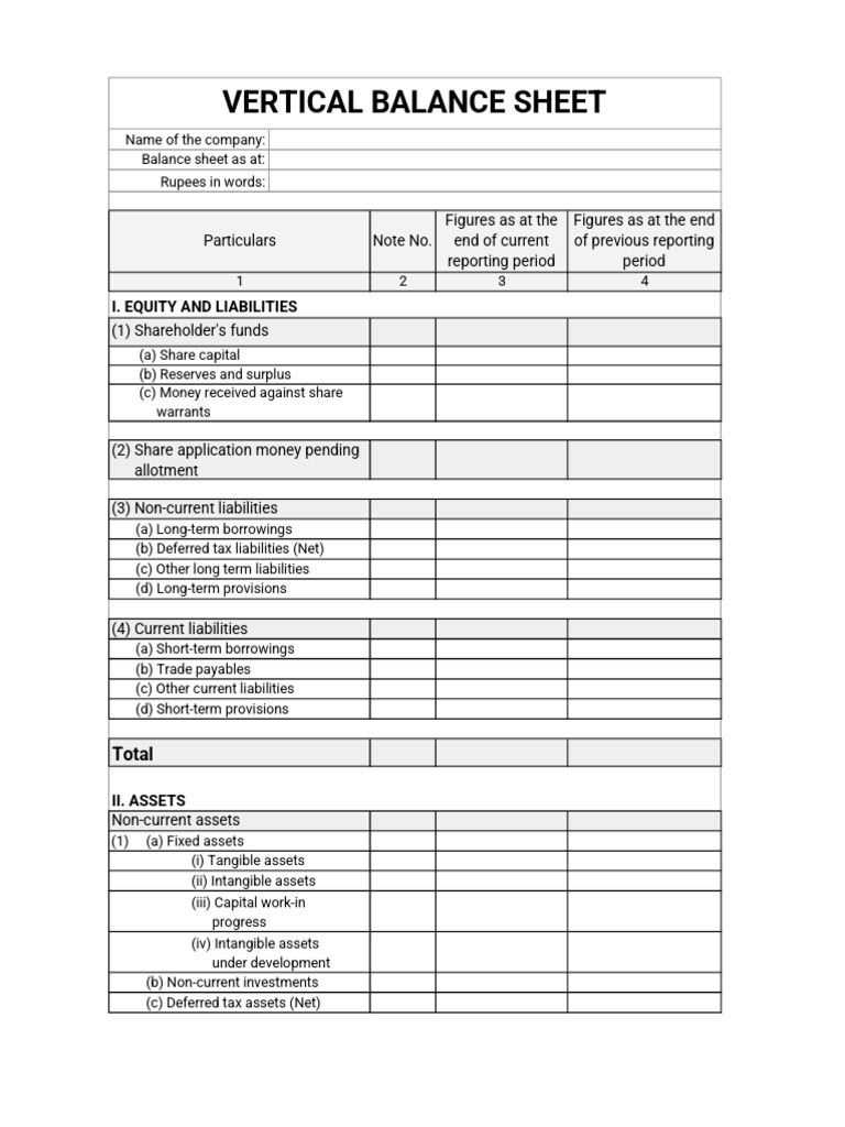 Vertical Format of BS | PDF