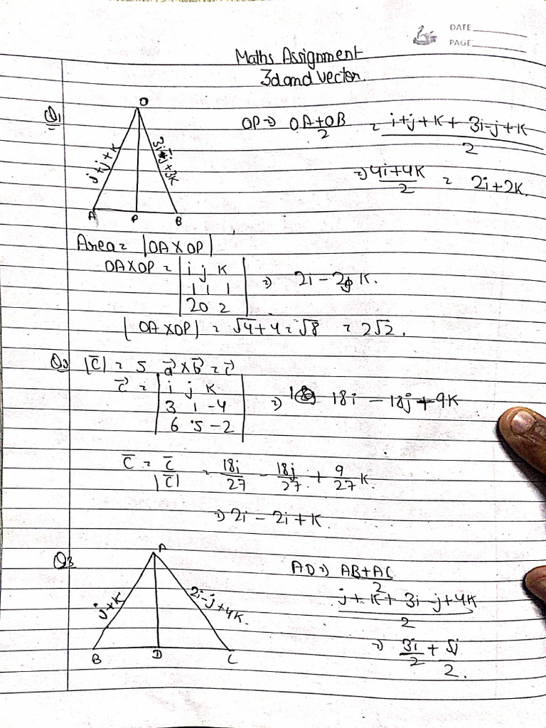 3d and Vector Assignment | PDF