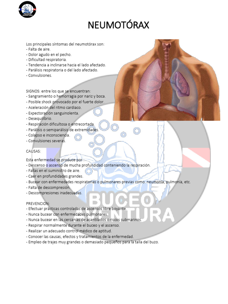 Neu Motor Ax | PDF