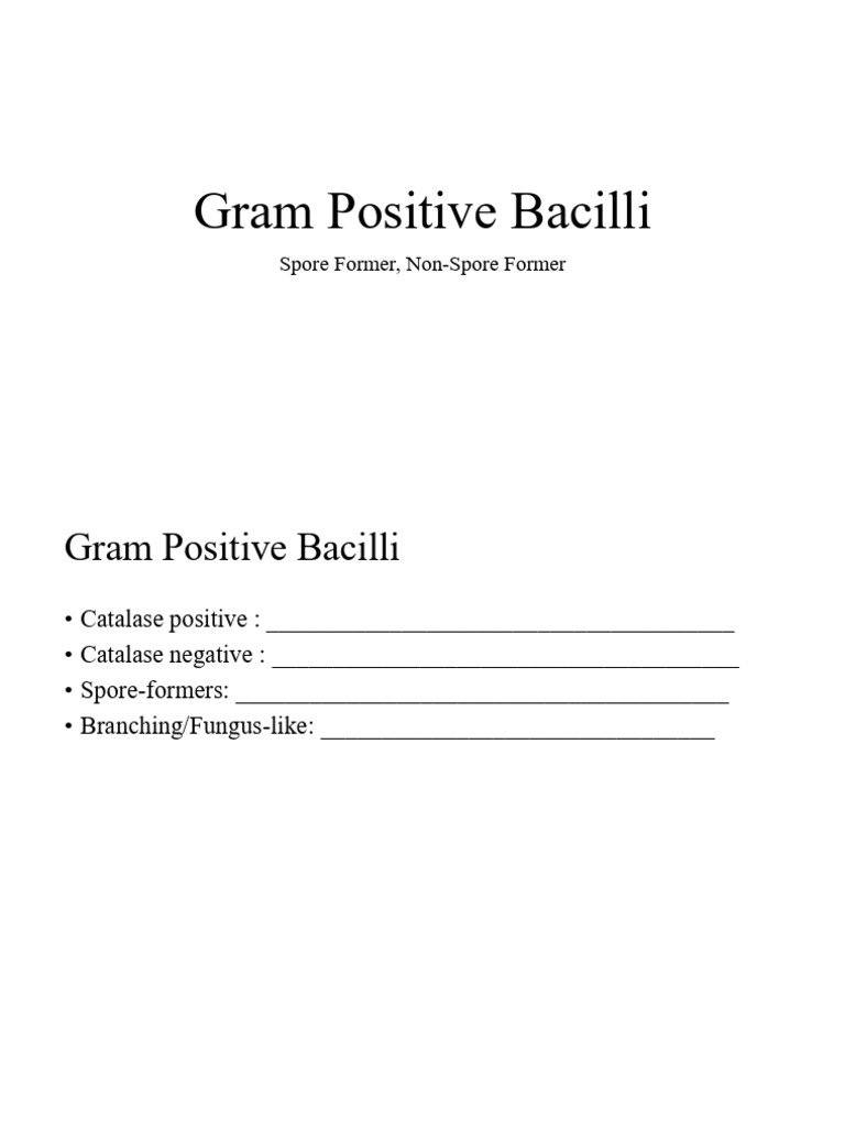 Gram Positive Bacilli Overview and Diseases | PDF | Anthrax | Bacillus