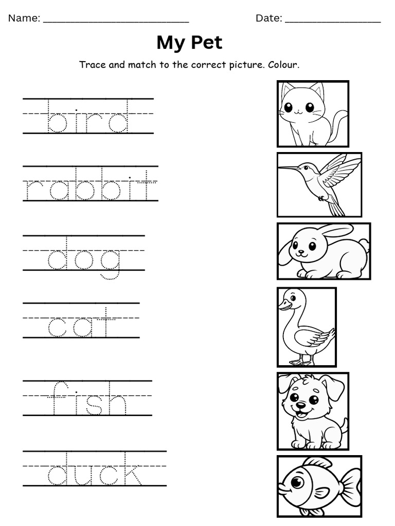 Trace and Match - My Pet Worksheet | PDF