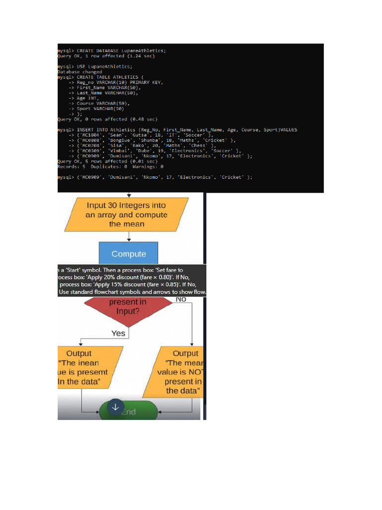 A Level Computer Science Summary | PDF