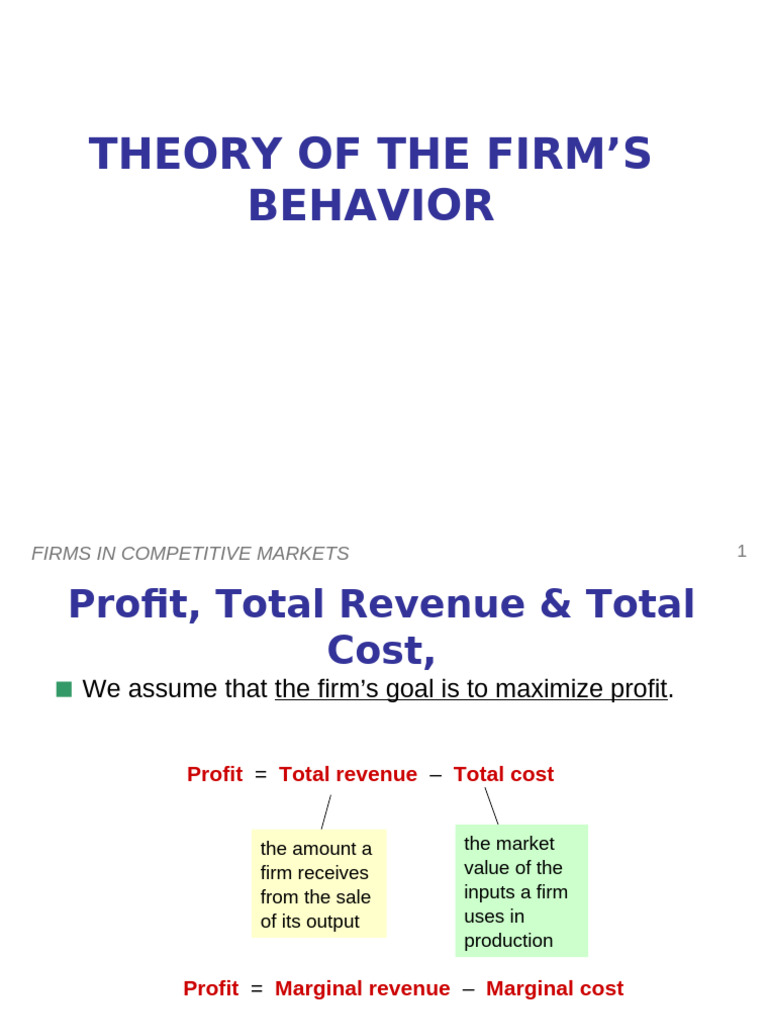 Lecture 13 Perfect Competition | PDF | Profit (Economics) | Perfect ...