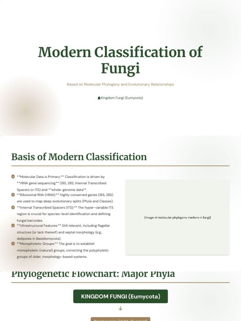 Modern Classification of Fungi - Expanded Edition | PDF | Fungus | Biology