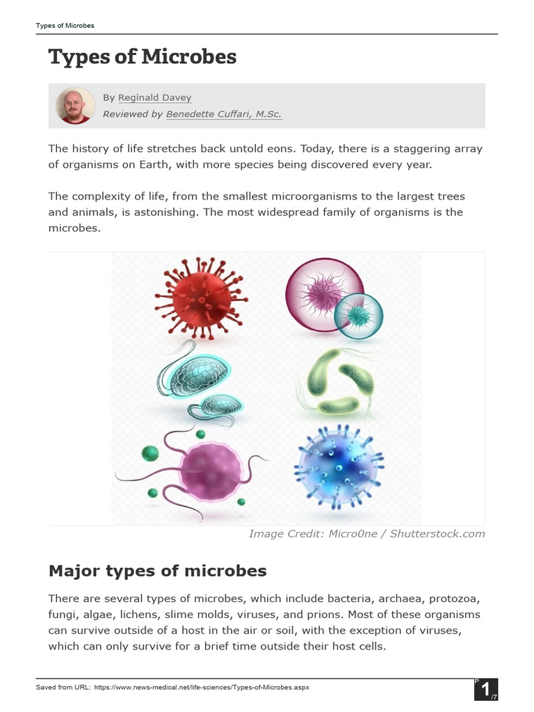 Types of Microbes | PDF | Microorganism | Bacteria