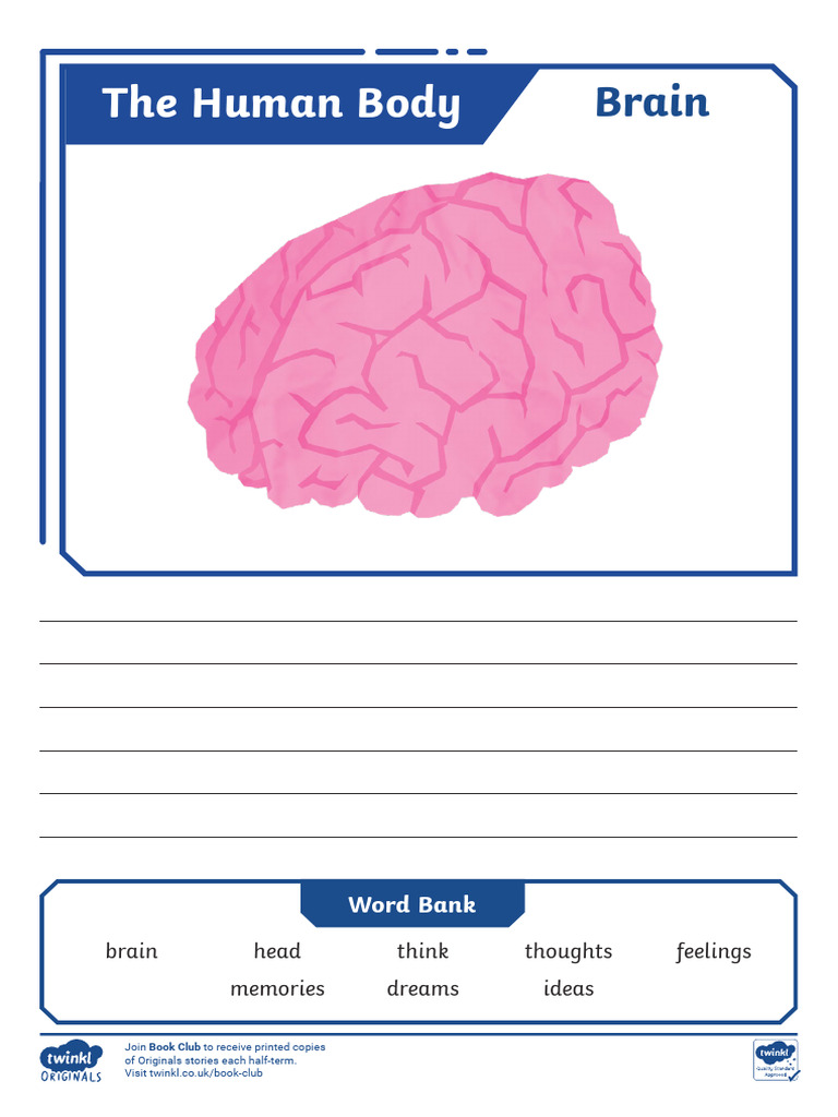 T e 1679915263 Human Body Parts Writing Frames Ver 2 | PDF | Thorax | Mouth