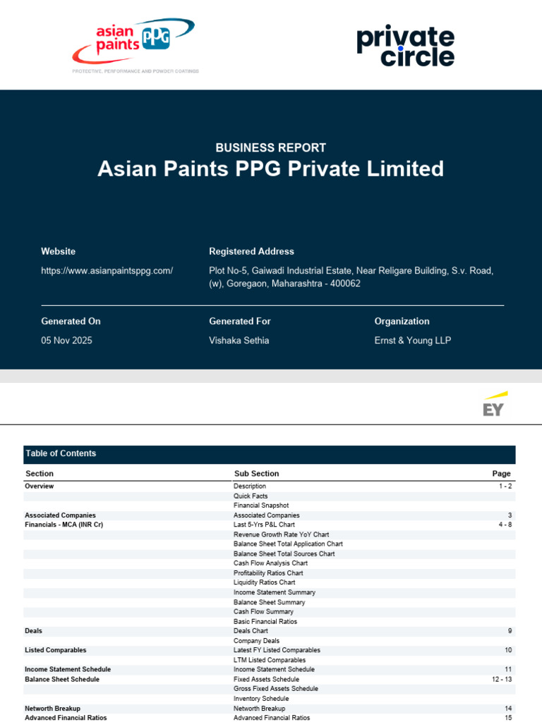 Asian Paints PPG Financial Overview 2025 | PDF | Balance Sheet ...