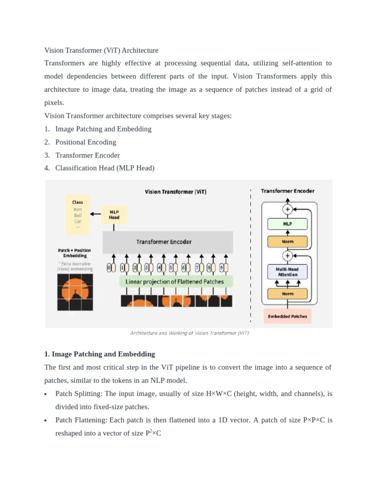 Vision Transformer Architecture Explained | PDF | Principal Component ...