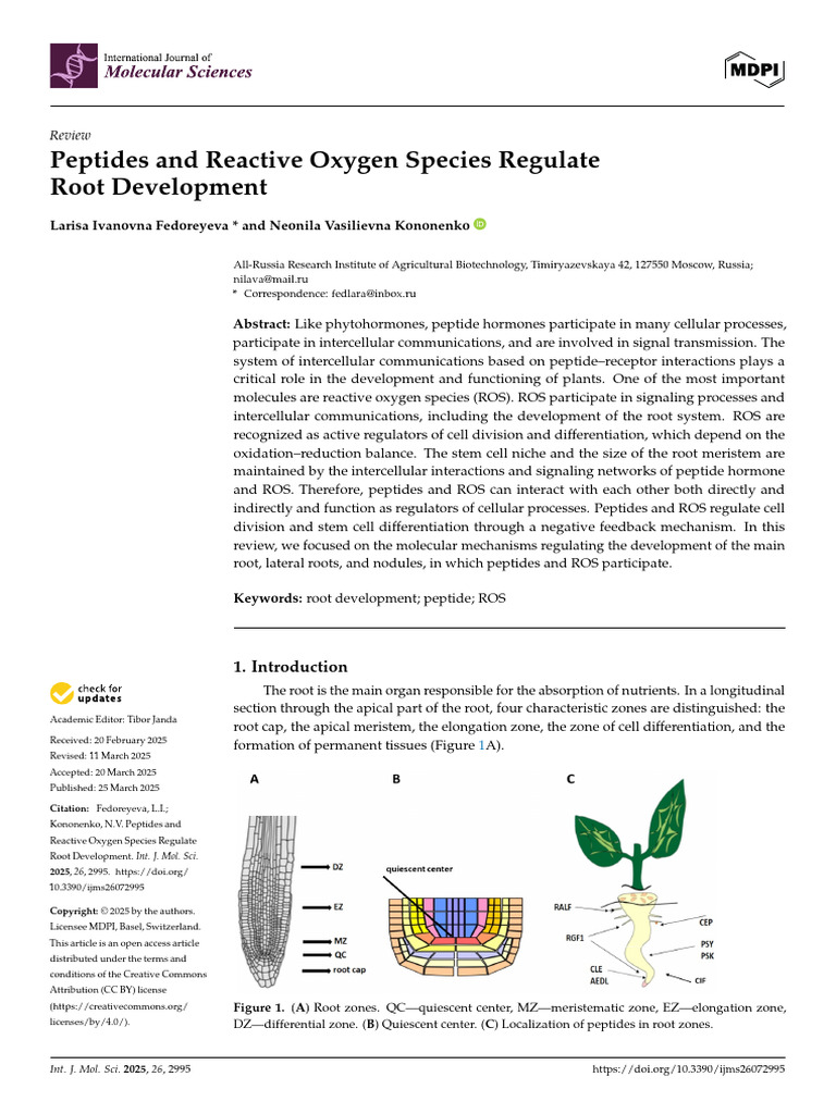 Root development | PDF | Glutathione | Reactive Oxygen Species