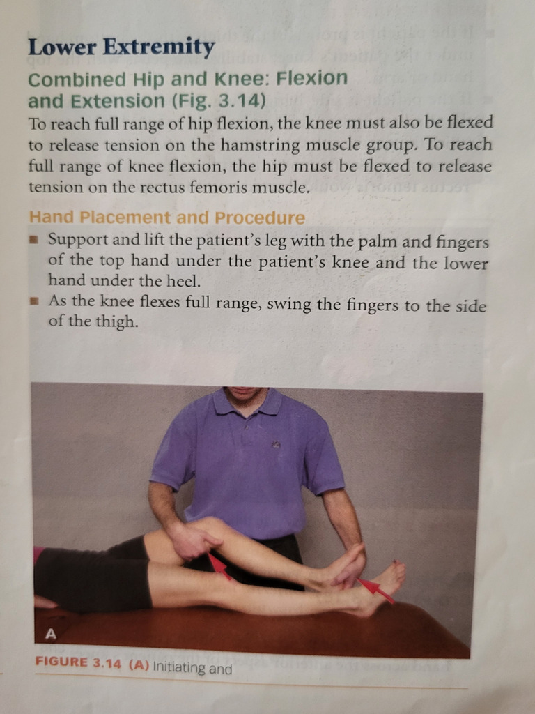 Passive Movements - Lower Extremity | PDF