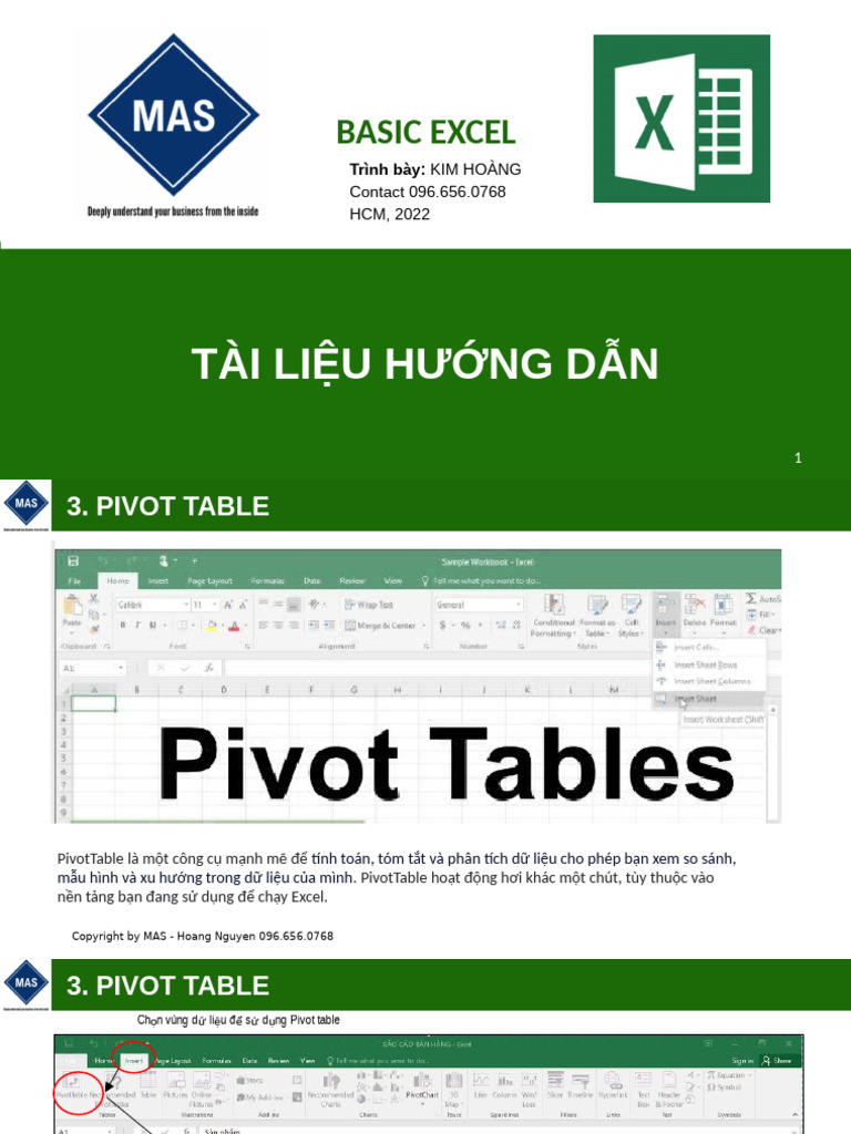 Mas Pivot Table | PDF