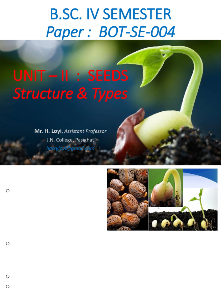 01 - SEEDS Structure & Types - PPT | PDF | Seed | Germination