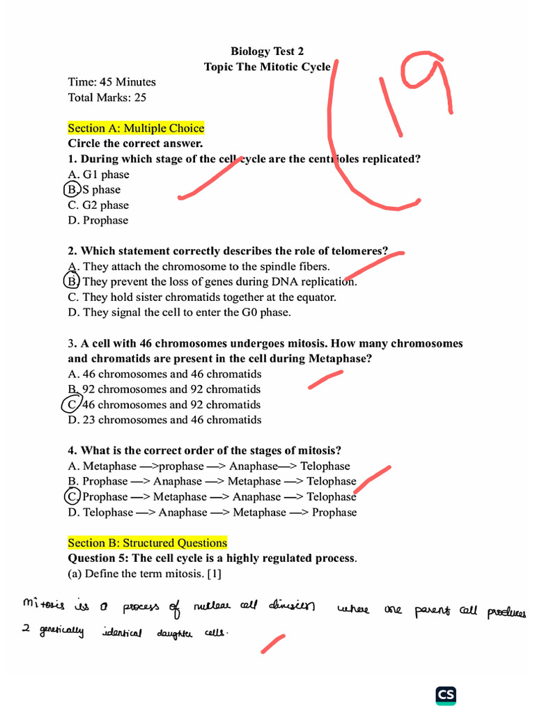All Test Checked | PDF