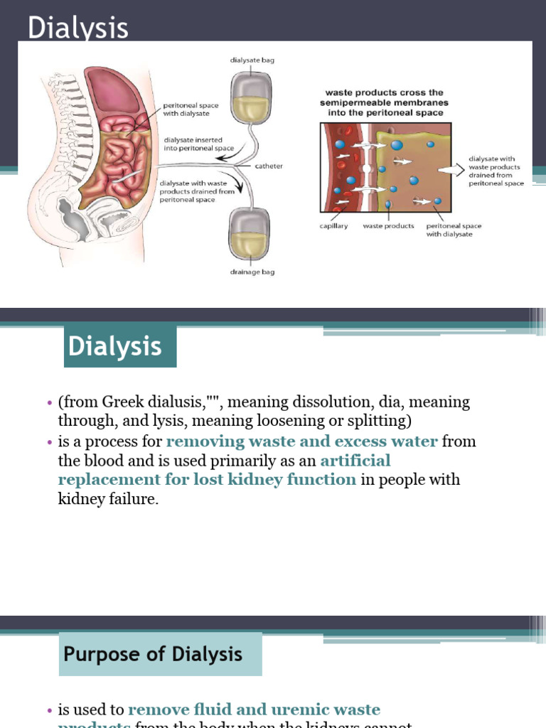 Understanding Peritoneal Dialysis Process | PDF | Peritoneum | Internal ...