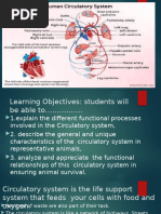 Overview of the Circulatory System | PDF | Blood Vessel | Heart