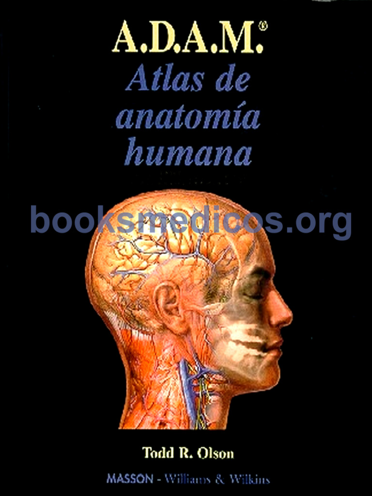 ADAM Atlas de Anatomia Humana | PDF | Inteligencia artificial ...