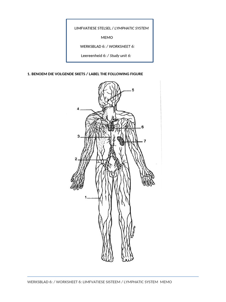 LIMF MEMO | PDF | Lymphatic System | Circulatory System