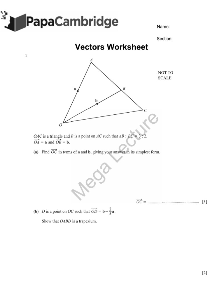 Vectors Worksheet | PDF