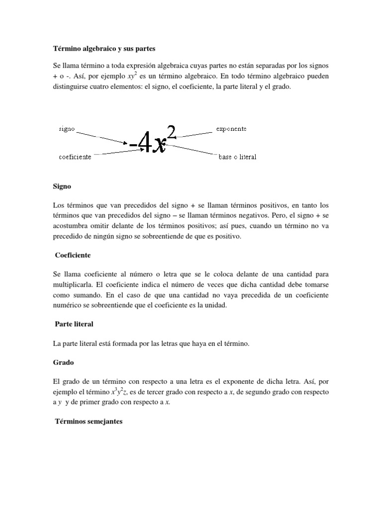 Término Algebraico y Sus Partes | PDF
