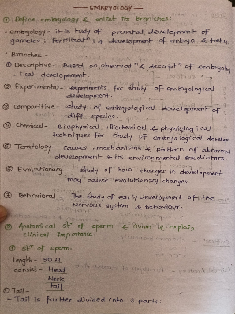 Embryology Anatomy | PDF