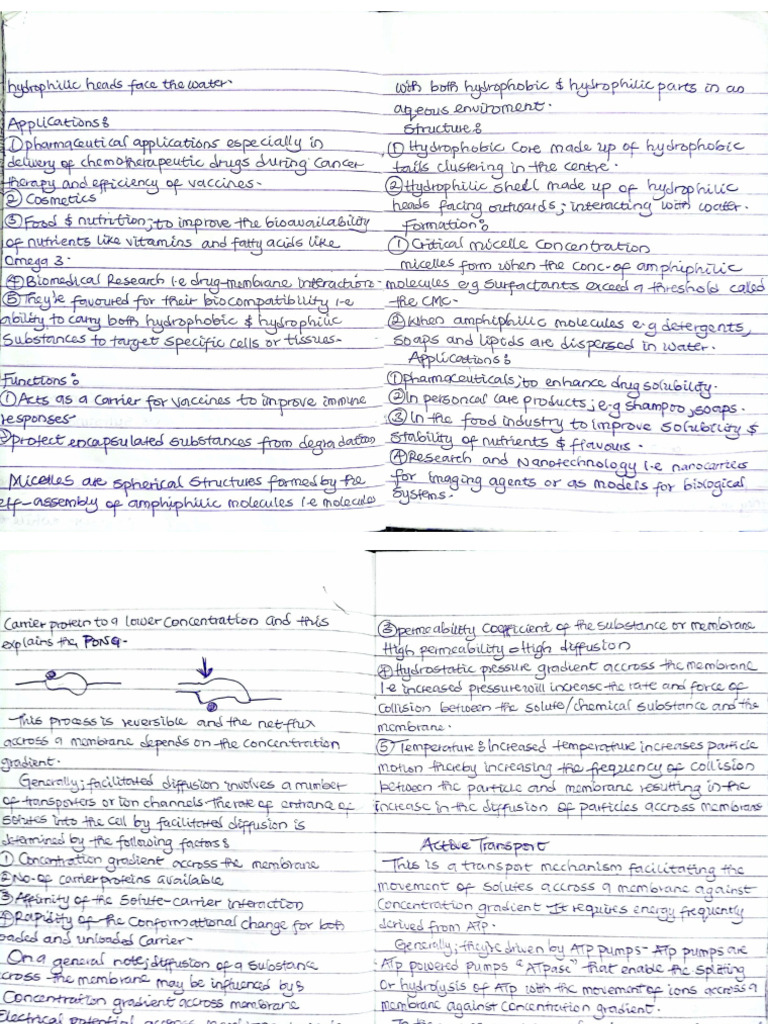 Cell Biology Xtra | PDF