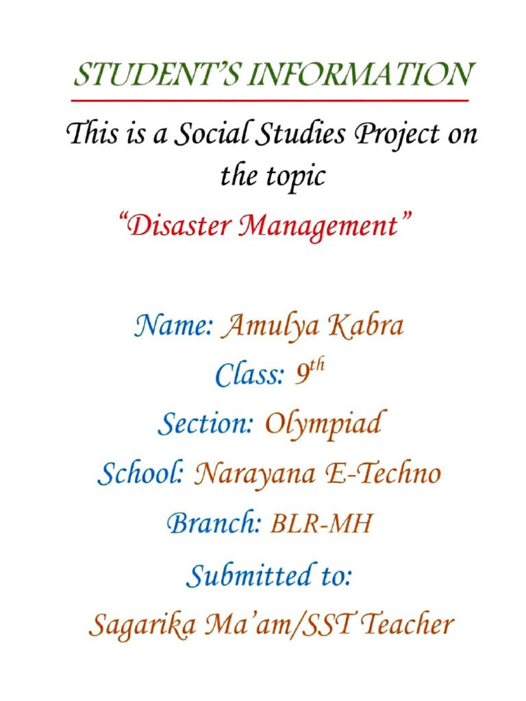 Disaster Management Project Work | PDF