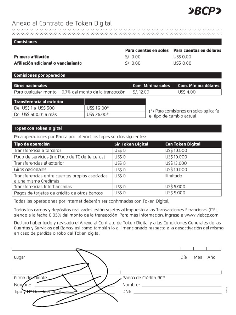 Manual Token Digital | PDF