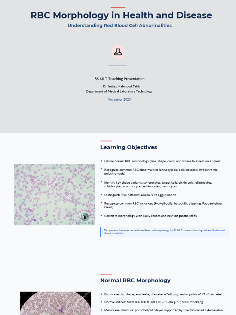 RBC Morphology: Health & Disease Guide | PDF | Anemia | Red Blood Cell