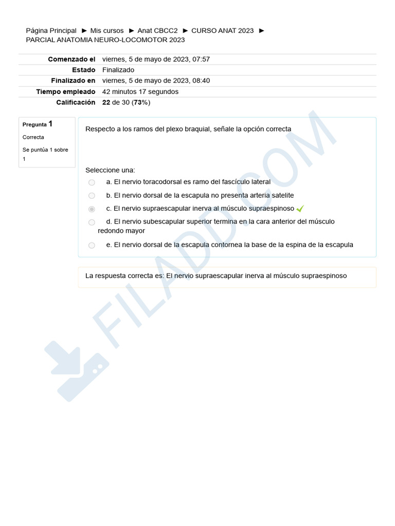PARCIAL ANATOMIA NEURO-LOCOMOTOR 2023_ Revision del intento | PDF ...