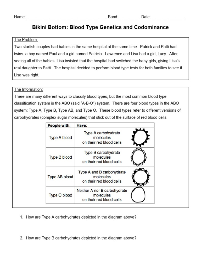 Main Bikini Bottom Blood Type Genetics and Codominance Lab Report ...